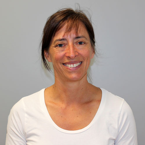 Réseau des sentinelles | Collège Montmorency